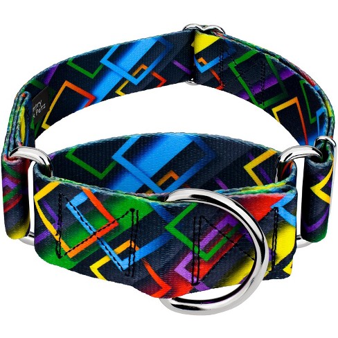 Country Brook Petz 1 1/2 Inch Memphis 90s Martingale Dog Collar : Target