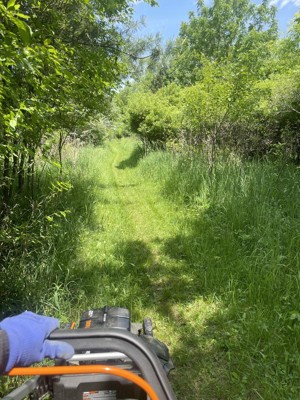 Worx Nitro Wg761 80v 21" Cordless Self-propelled Lawn Mower With ...