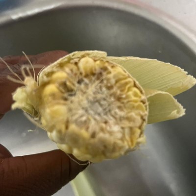 Sweet Corn - 18oz/4ct - Good & Gather™ : Target