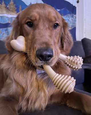 Betterbone Hard Classic Nylon Free Dog Bone Chew Toy - L : Target