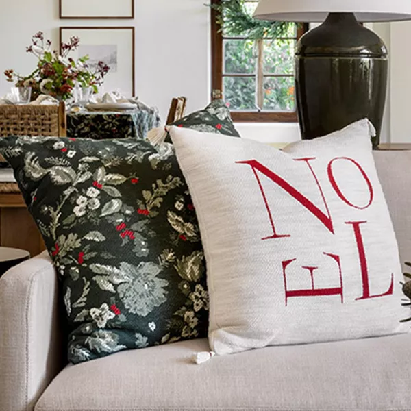 Throw Pillows : Page 43 : Target