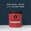 Talenti Dairy-free Frozen Roman Raspberry Sorbetto - 16oz : Target