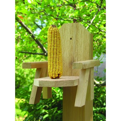 Woodlink Audubon Natural Squirrel Platform Feeder (5.75" X 6.75" X 6.5 ...