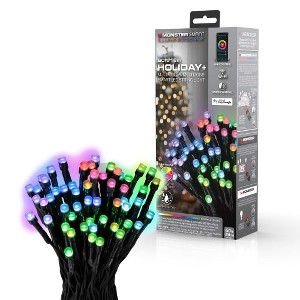 Holiday+ 60ft Multicolor Multi-Zone Smart LED String Lights, RGB+IC ...