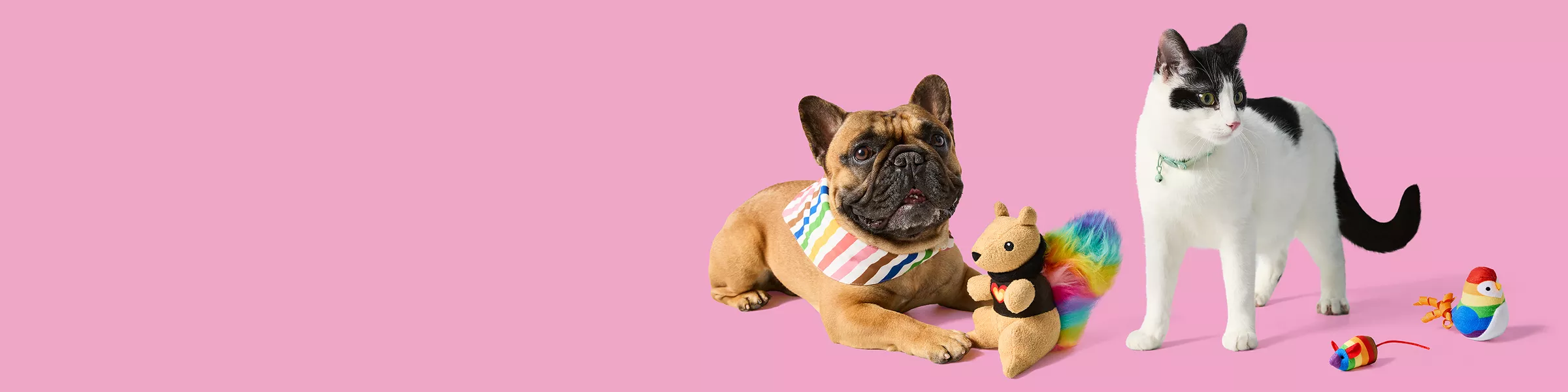 Dog Supplies : Page 10 : Target