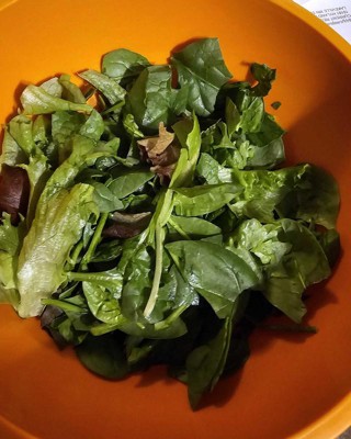 Revol Greens Spring Lettuce Mix - 4.5oz : Target