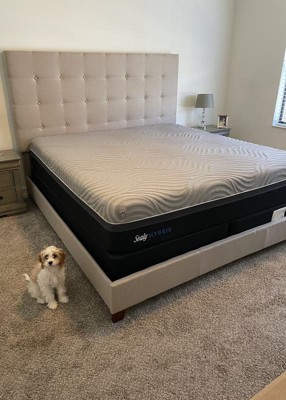 Dolante Queen Upholstered Bed Beige - Signature Design By Ashley : Target