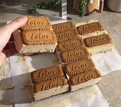 Lotus Biscoff Vegan Cookies - 8.8oz : Target