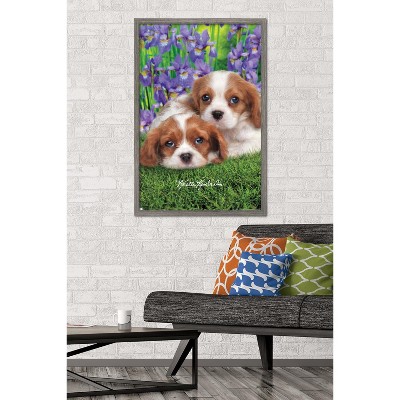 Trends International Keith Kimberlin - Cavalier King Charles Puppies ...