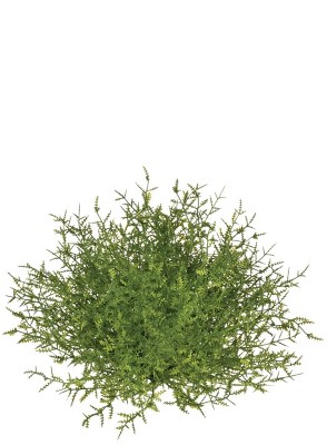 Sullivans Feather Fern Half Orb Decorative Filler 7" Green : Target
