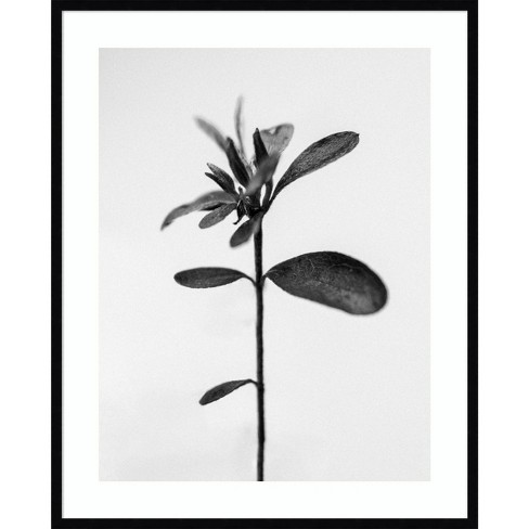 33" X 41" Amid The Flowers 30 By Teis Albers Wood Framed Wall Art Print ...