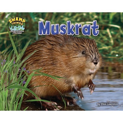 Northern Muskrats FREE SHIPPING Jewelry & Beauty Craft Supplies & Tools ...