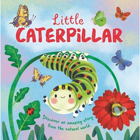 Nature Stories: Little Caterpillar - By Igloobooks (board Book) : Target