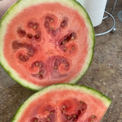Mini Watermelon - Each : Target