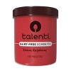 Talenti Dairy-free Frozen Roman Raspberry Sorbetto - 16oz : Target