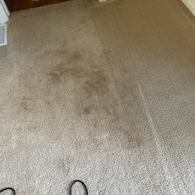 Rocco & Roxie Enzymatic Cleaner For Pet Urine Stain And Odor Eliminator ...