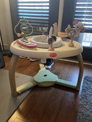 Tiny Love 5-in-1 Deluxe Stationary Activity Center - Boho : Target