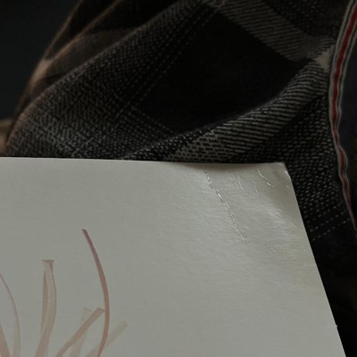 Taylor Swift - Lover (target Exclusive, Vinyl - 2-disc Color Set) : Target