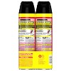 Raid Ant And Roach Killer Bug Spray - Unscented - 20oz/2ct : Target