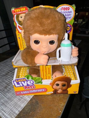 Little Live Pets My Baby Monkey - Mango : Target