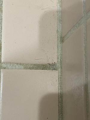 Wagner 915e On-demand Steam Cleaner With 18 Accessories: Electric ...