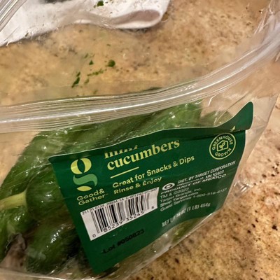 Mini Cucumbers - 16oz Bag - Good & Gather™ (packaging May Vary) : Target