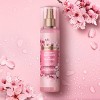 Beloved Cherry Blossom & Tea Rose Body Mist - 8 Fl Oz : Target