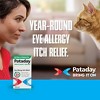 Pataday Once Daily Relief Extra Strength Allergy Drops : Target