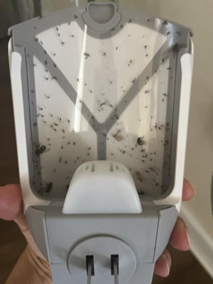 Zevo Indoor Flying Insect Trap For Fruit Flies, Gnats, And House Flies ...