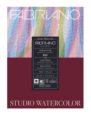 Fabriano Studio Watercolor Paper School Pack, 90 Lb, 9 X 12 Inches, 100 ...