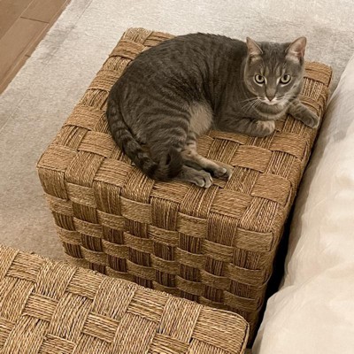 Lynwood Checkerboard Woven Cube - Threshold™ Designed With Studio Mcgee ...