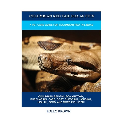 Columbian Red Tail Boa As Pets - By Lolly Brown (paperback) : Target