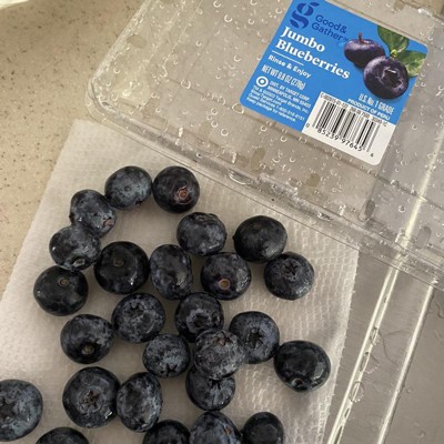 Jumbo Blueberries - 9.8oz : Target