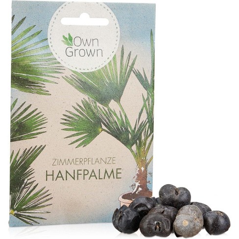 Owngrown Chinese Hemp Palm Seeds - 5 Plants : Target