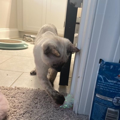 Pounce & Chase Mylar Crinkle Balls Cat Toys - 4pk - Boots & Barkley ...