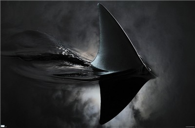 Trends International Shark - Night Fin Framed Wall Poster Prints : Target