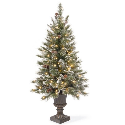 National Tree Company 4ft Pre-lit Glittery Bristle Entrance Artificial ...