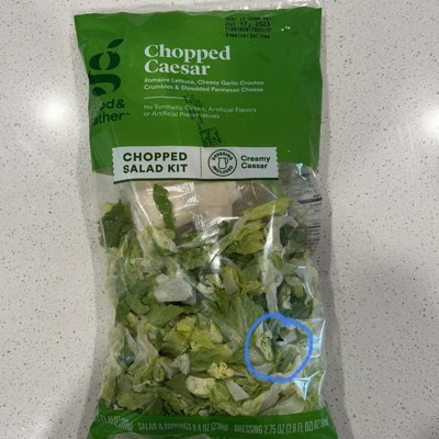 Chopped Caesar Salad Kit - 11.15oz - Good & Gather™ : Target