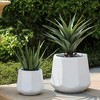 Luxenhome Set Of 2 White Octagon Mgo Planters : Target