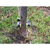 Brush Grubber Bg-11 Xtreme Larger Brush & Tree Stump Root Puller ...