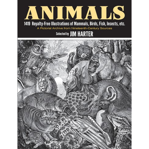 Animals - (dover Pictorial Archive) By Jim Harter (paperback) : Target