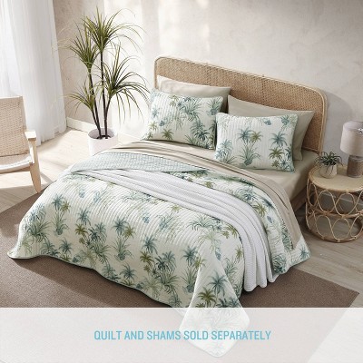 Serenity Palms Quilt Aqua - Tommy Bahama : Target