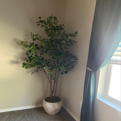 72" Artificial Ficus Tree - Threshold™ Designed With Studio Mcgee : Target