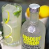 Absolut Citron Vodka - 750ml Bottle : Target