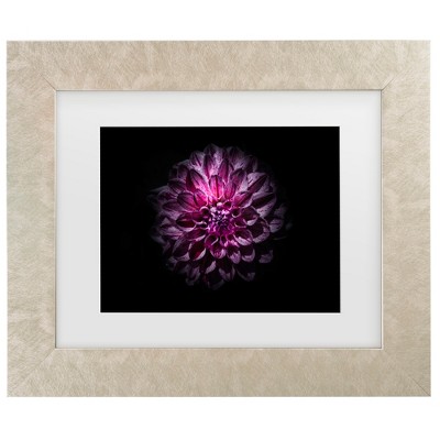 Trademark Fine Art - Brian Carson Backyard Flowers 57 Matted Framed Art ...