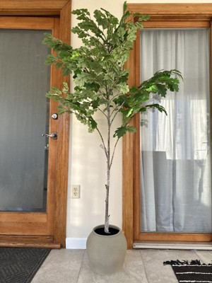 72" Artificial White Oak Tree Green - Threshold™ Designed With Studio ...