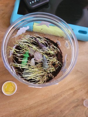 National Geographic Light-up Dinosaur Terrarium Kit For Kids : Target
