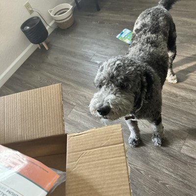 Rocket & Rex Chew Dog Ball Plush Toy Set - 6pk : Target