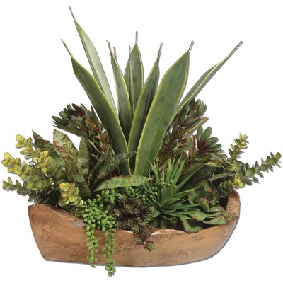 Uttermost Salar Succulents : Target