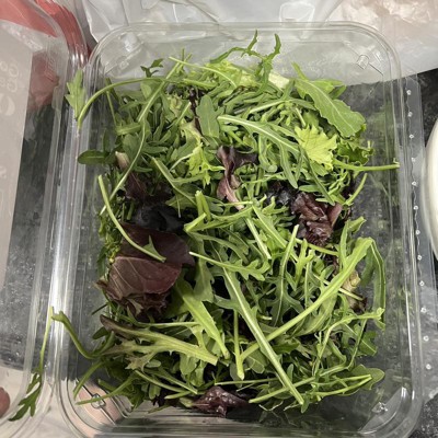 Organic Spring Mix Lettuce - 5oz - Good & Gather™ : Target